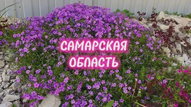 ПЕРВОМАЙСКАЯ ПРИРОДА. Самарская область