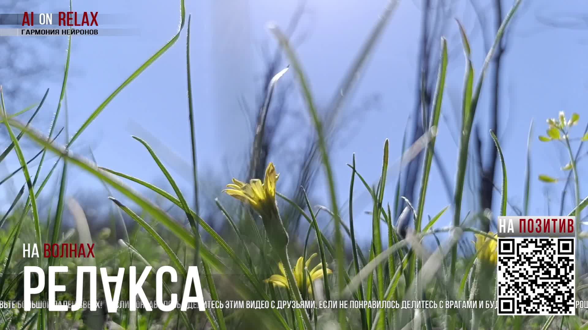 AI on Relax 06 На волнах релакса.Гармония нейронов.Расслабляющая музыка.Глубокий Сон.Медитация.