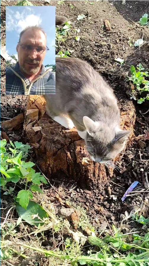 как избавиться от пня Ч-2...