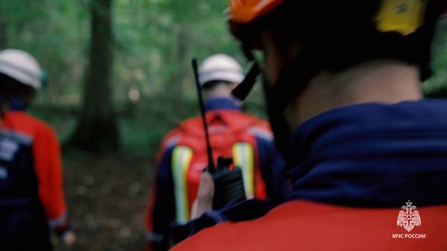 Безопасность в лесу