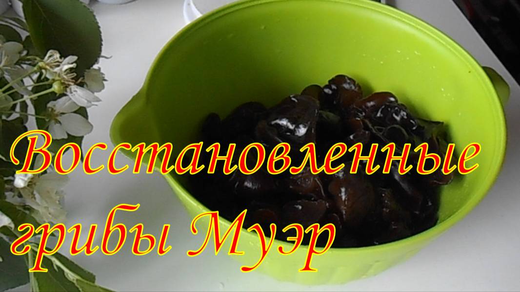 Восстановленные грибы Муэр