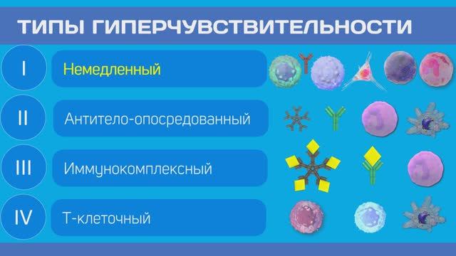 Гиперчувствительность