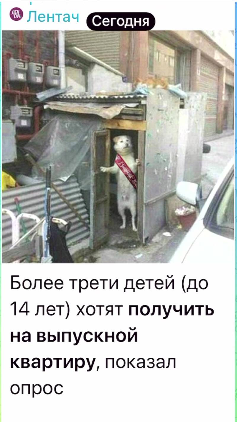 Квартира на выпускной!