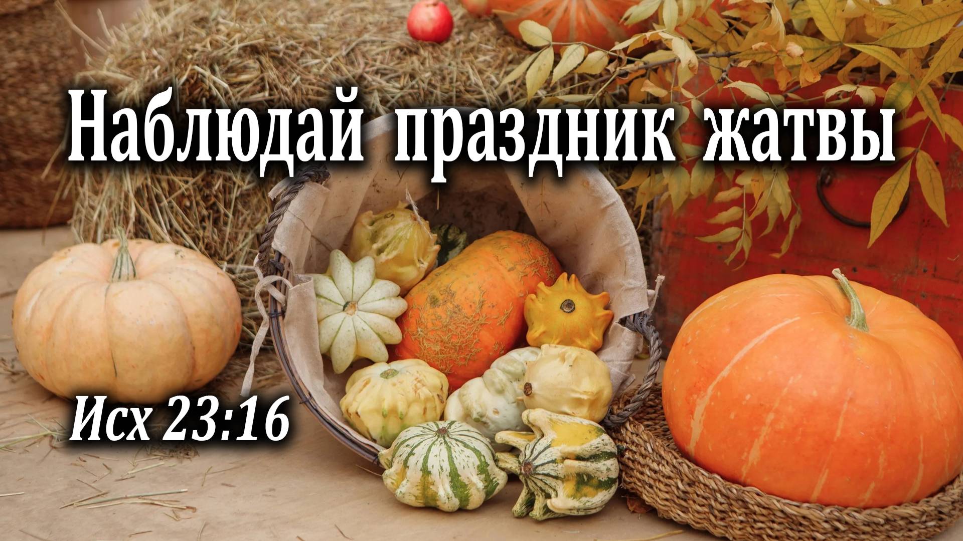 19.09.2021 "Наблюдай праздник жатвы" Исх 23:16 Мицкевич Вальтер