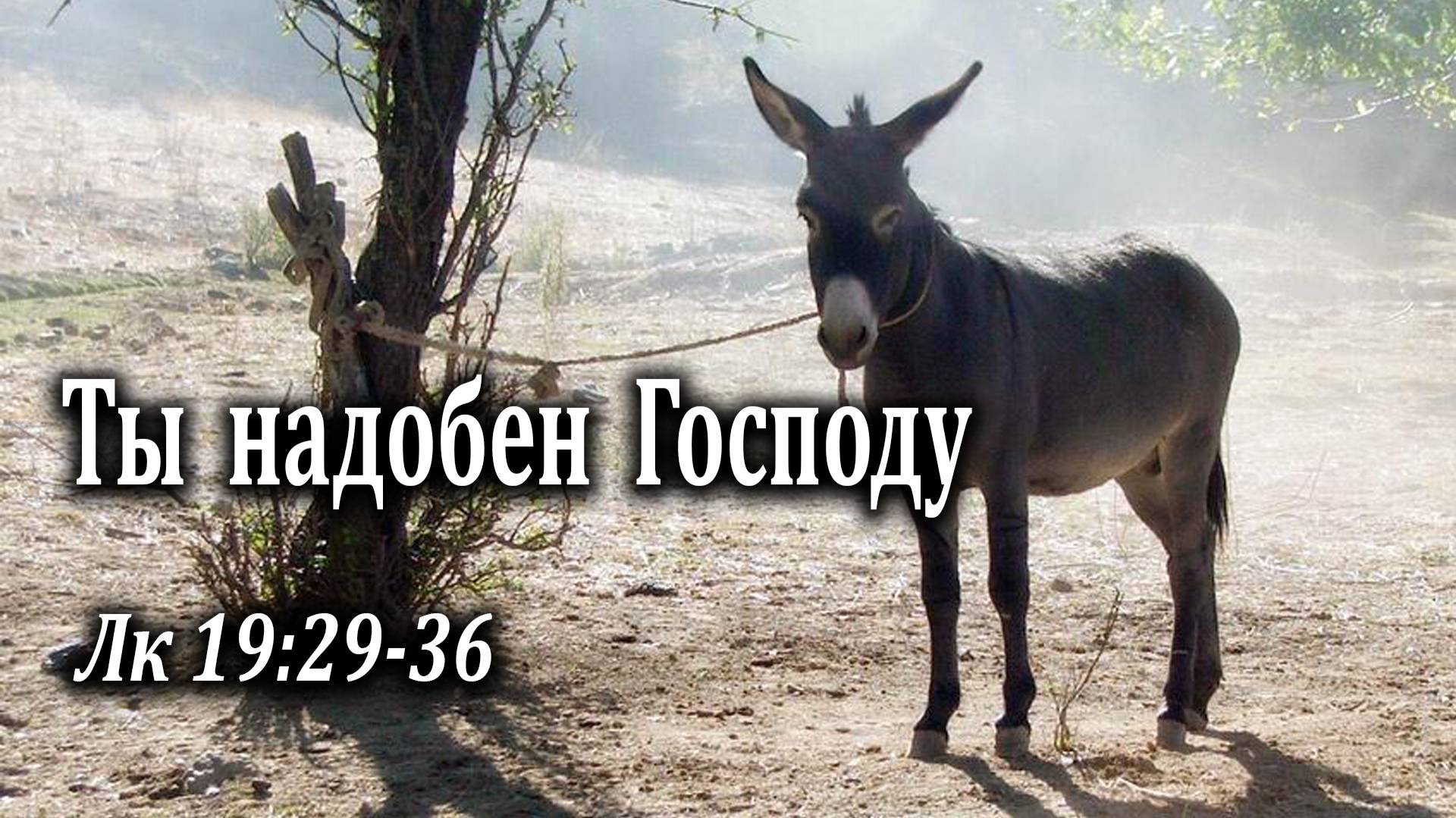 29.11.2020 "Ты надобен Господу" Лк 19:29-36 Левшин Степан