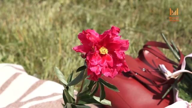 Фестиваль Славянской культуры в Мысках