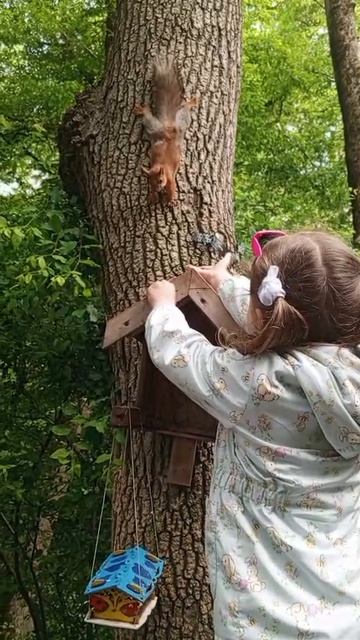 Руженцев Дмитрий Александрович