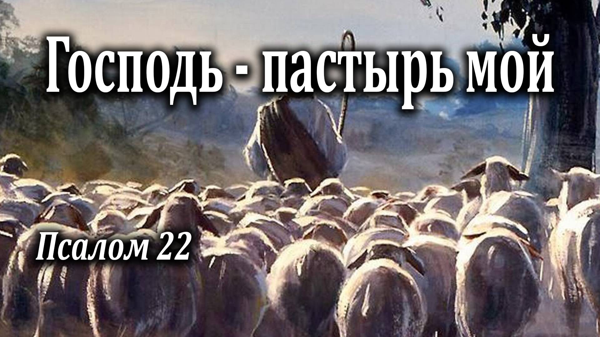 23.08.2020 "Господь - пастырь мой" Пс 22 Медведь Андрей