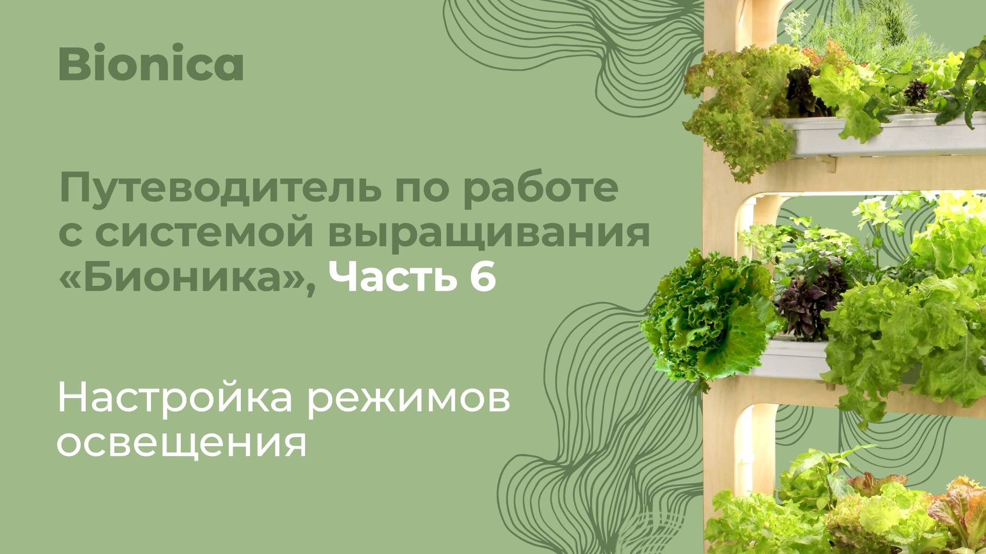 Выращиваем с «Бионикой»: настройка режимов освещения. Часть 6