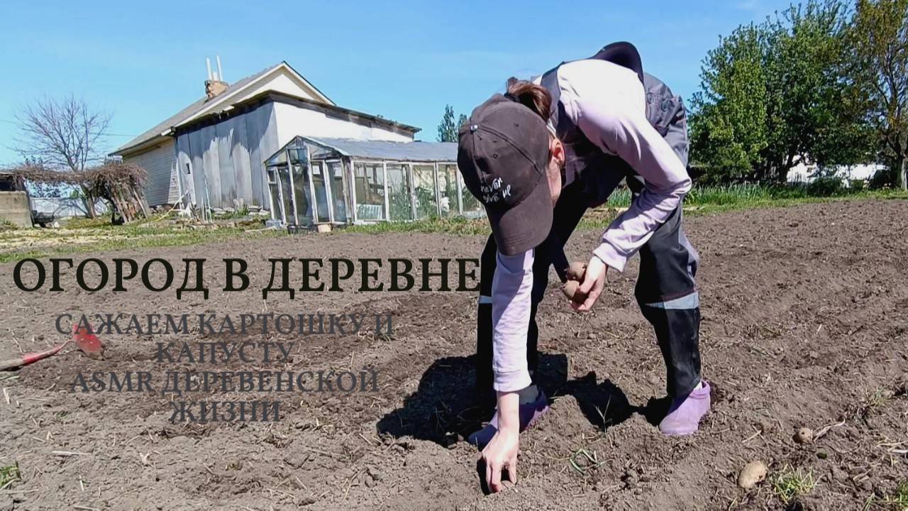 Майская посадка: картофель, капуста и тихая деревенская жизнь