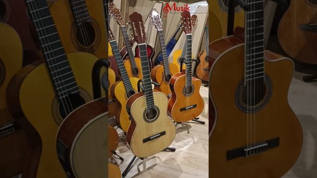 Гитары:Yamaha.Hohner.Cort.Flight.Vitess.Euphony! Какую купить гитару?|Мьюзик-Стор/ #гитара #купить