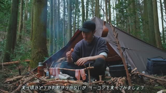 CAMP 40 кемпинг в лесу.