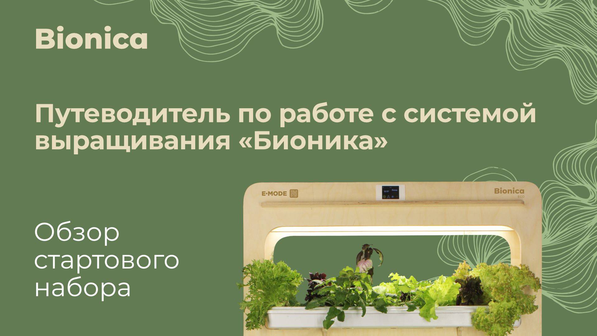 Выращиваем с «Бионикой»: обзор стартового набора