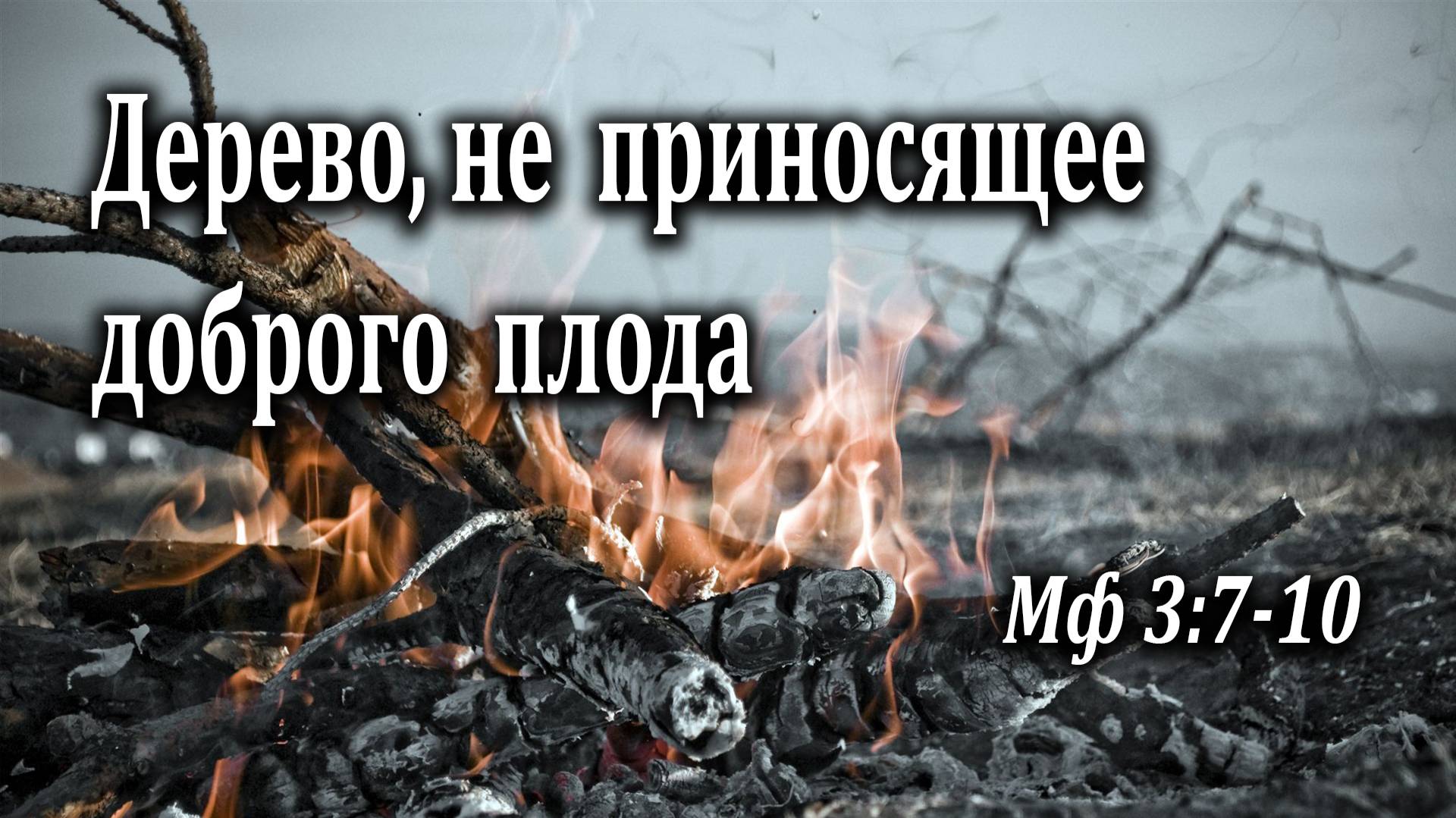10.10.2021 "Дерево, не приносящее доброго плода" Мф 3:7-10 Николаишин Вадим