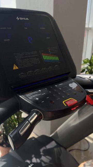 Беговая дорожка