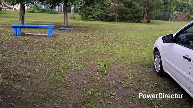 Первый и второй покос