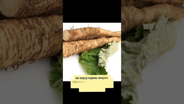 Эти три травы избавят от большинства болезней.. Одуванчик, пырей и лопух.