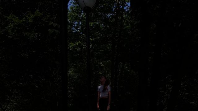 Как это, видеть (лето 2025)