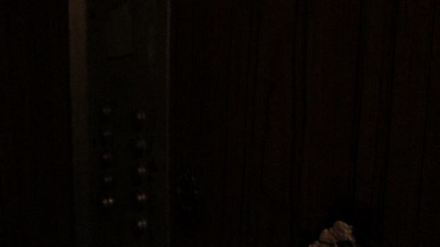 Лифт МЛЗ под. №9 @ Я.О. г. Тутаев, проспект 50-летия Победы, д. 11-9 (10)