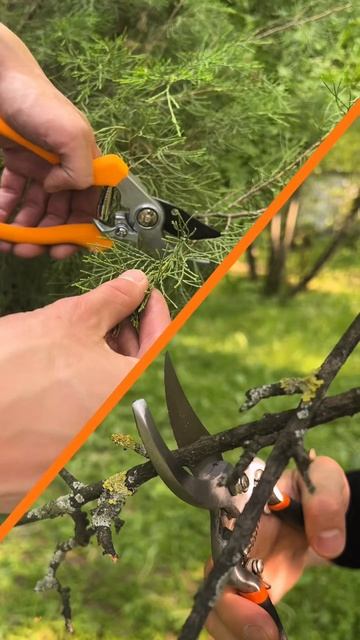 Обрезаем ветки вместе с секатором ВИХРЬ 🌿