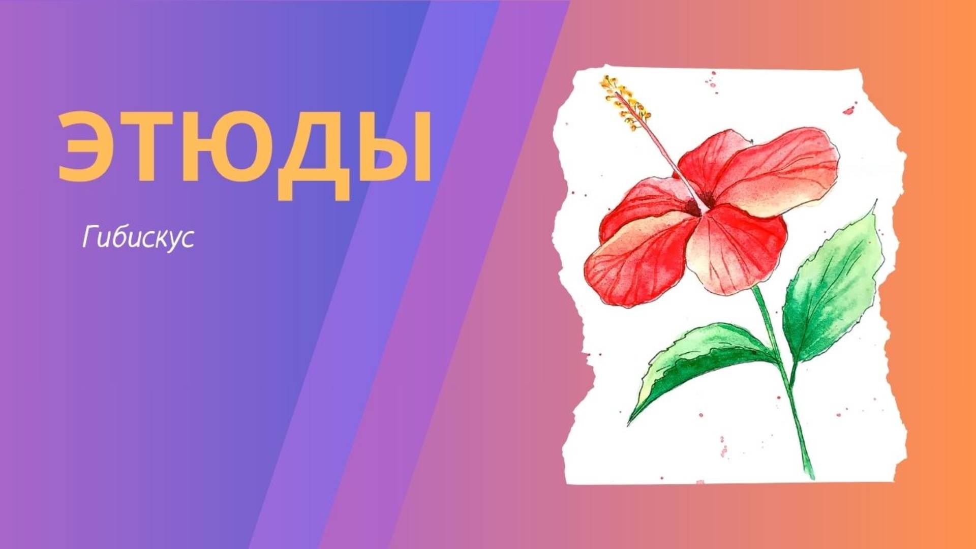 Гибискус за 10 минут