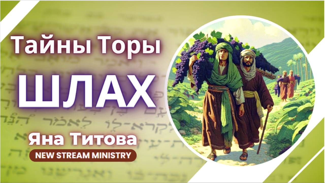 Недельный разбор торы Шлах Яна Титова NSM