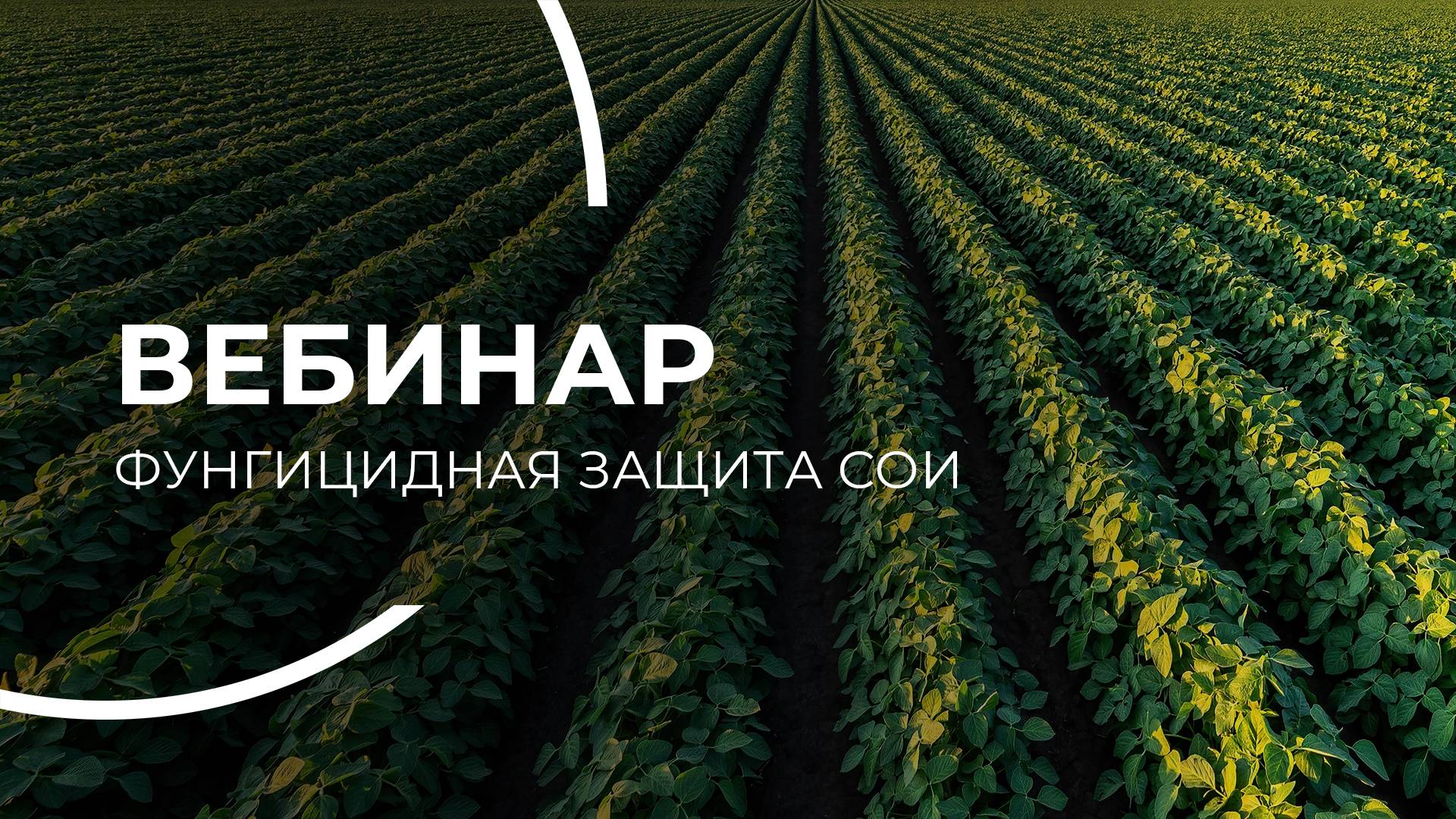 Смотрите вебинар по защите сои от болезней