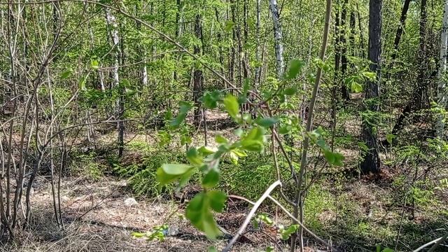 Трасса. Вынужденная остановка. | Николай Артемьев