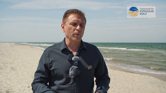 Выпуск тюленей в естественную среду обитания