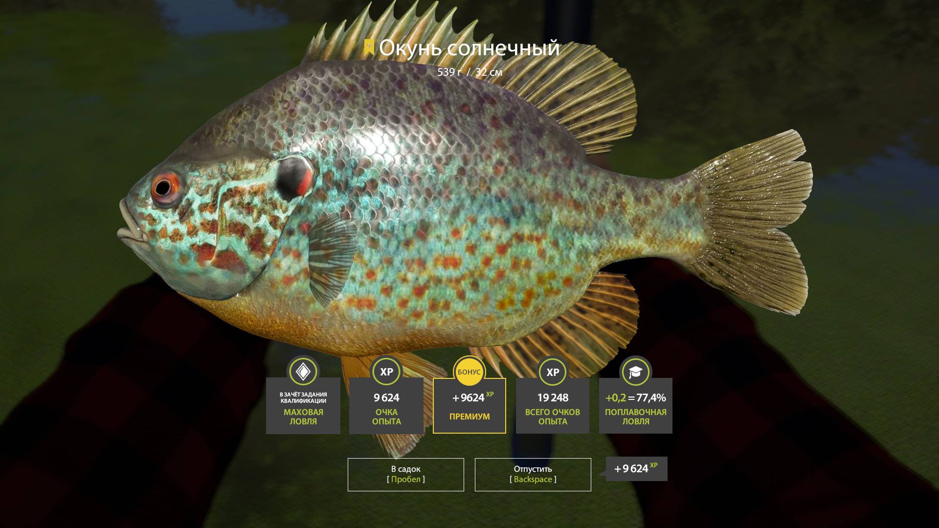 ТРОФЕЙ СОЛНЕЧНЫЙ ОКУНЬ!!!СЕВЕРСКИЙ ДОНЕЦ - РУССКАЯ РЫБАЛКА 4