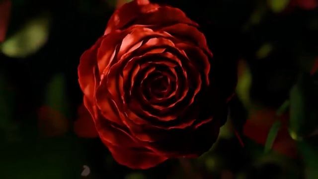 Антивозрастная Матрица Гаряева ☀️ Омоложение Организма ☀️ Регенерация Тела