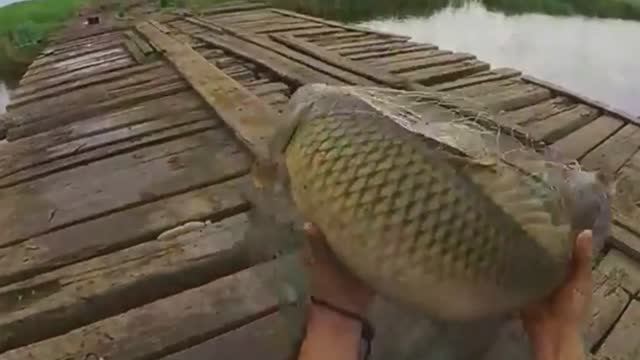 КРУТО ПОРЫБАЧИЛ НА КАСТИНГОВОЮ СЕТЬ!!! САЗАН НА КАЖДОМ ЗАБРОСЕ!!!