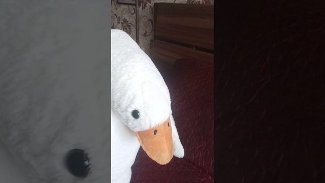 Новости канала #2