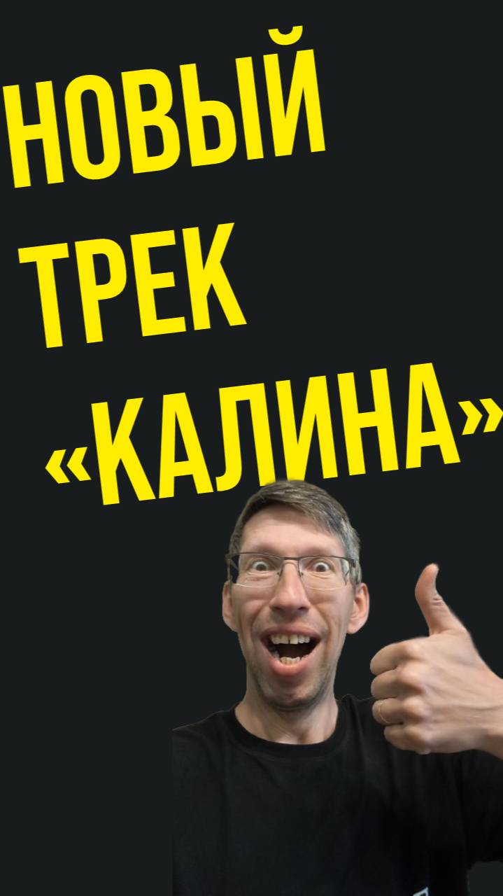 песня про лада калина #dlaudio gryphon pro 165 midbass + твитеры #автозвук #калина #dlaudio