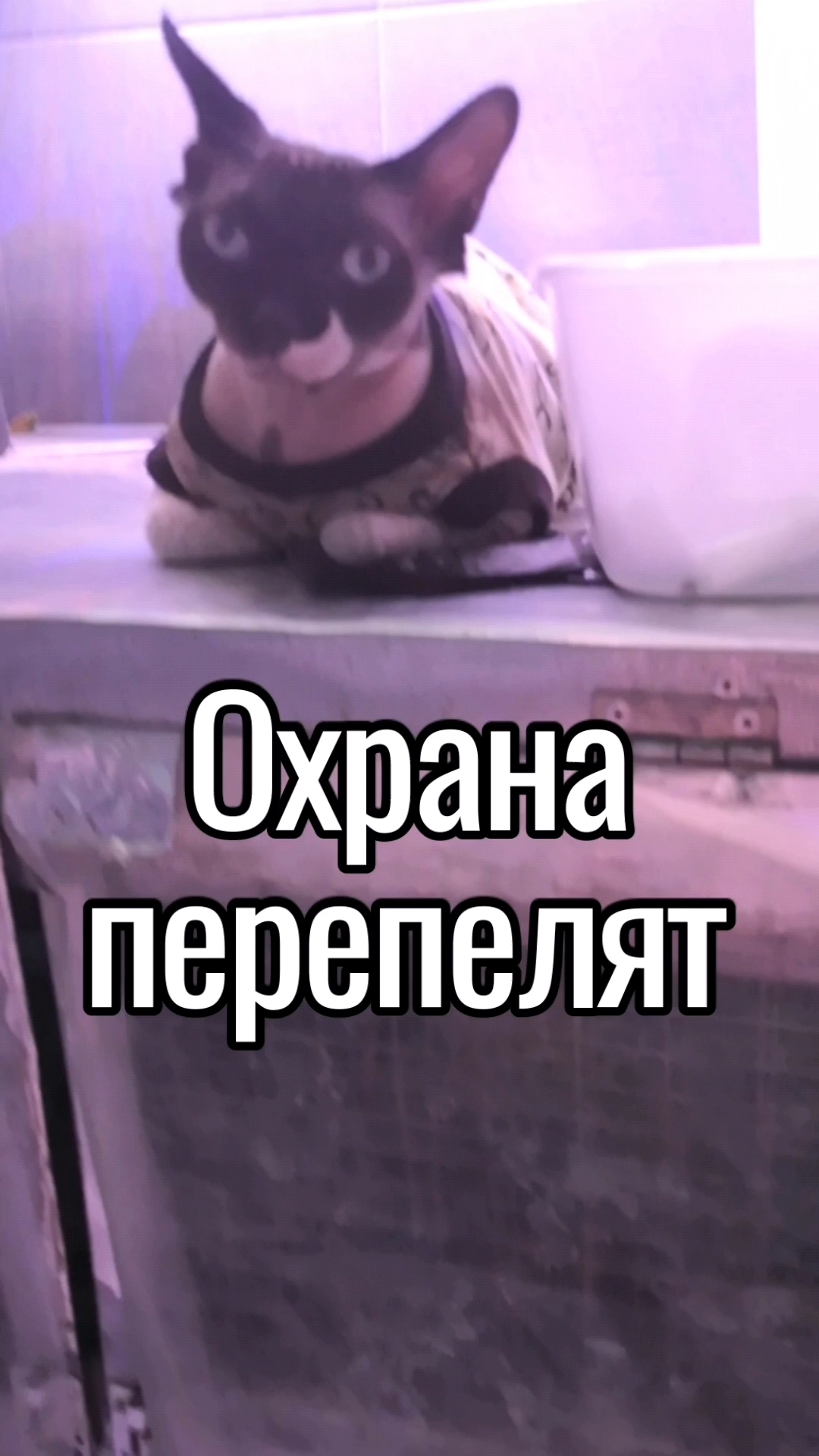 Охранник для перепелят