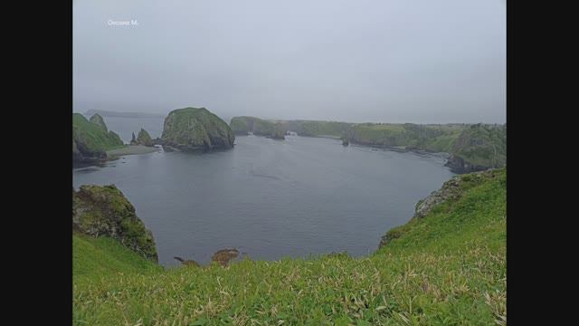 Путешествие на остров Шикотан (Курилы). 10 часть. Бухта Безымянная.mp4