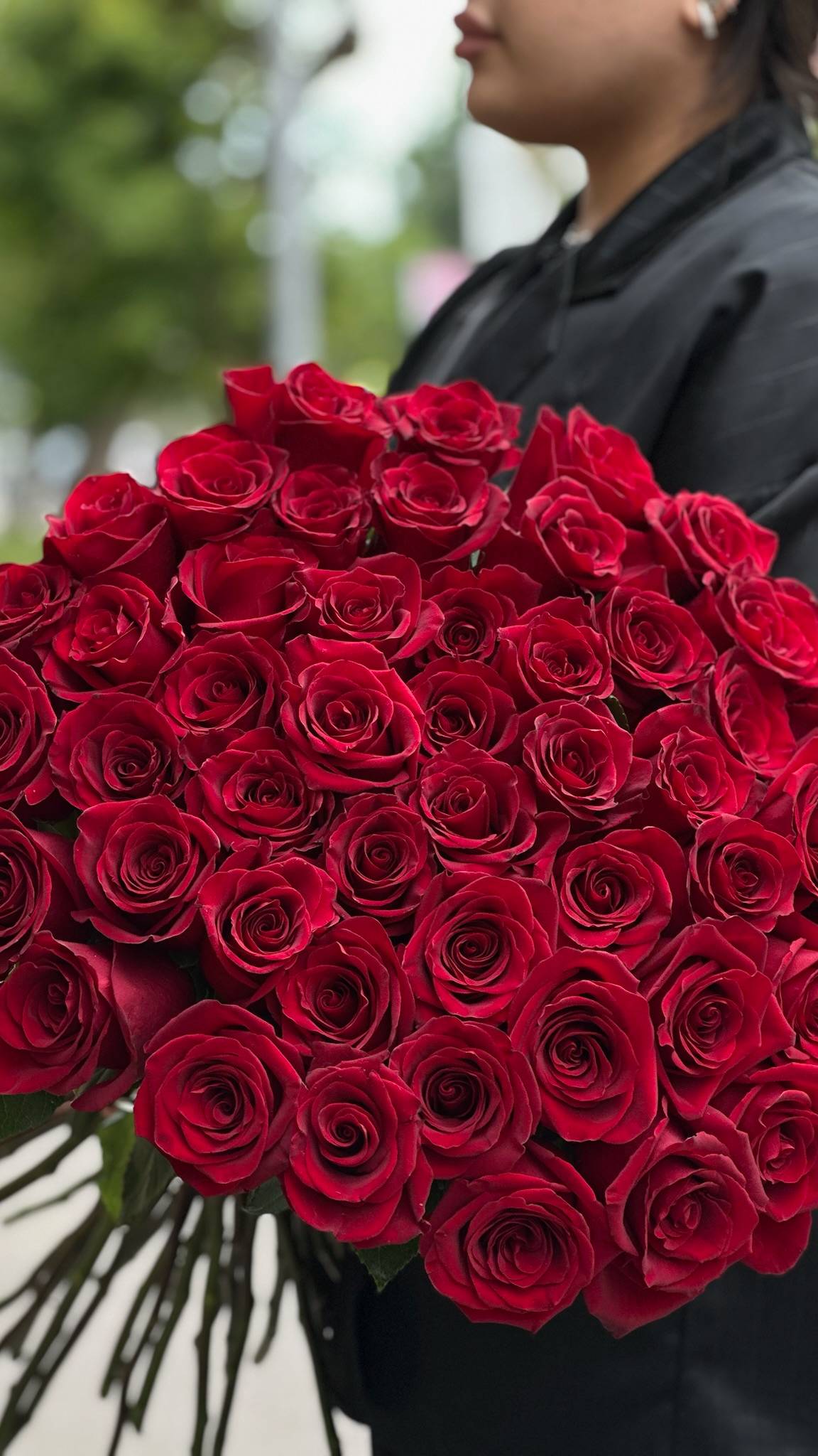 Красная роза сорт «Эксплорер» (Эквадор)