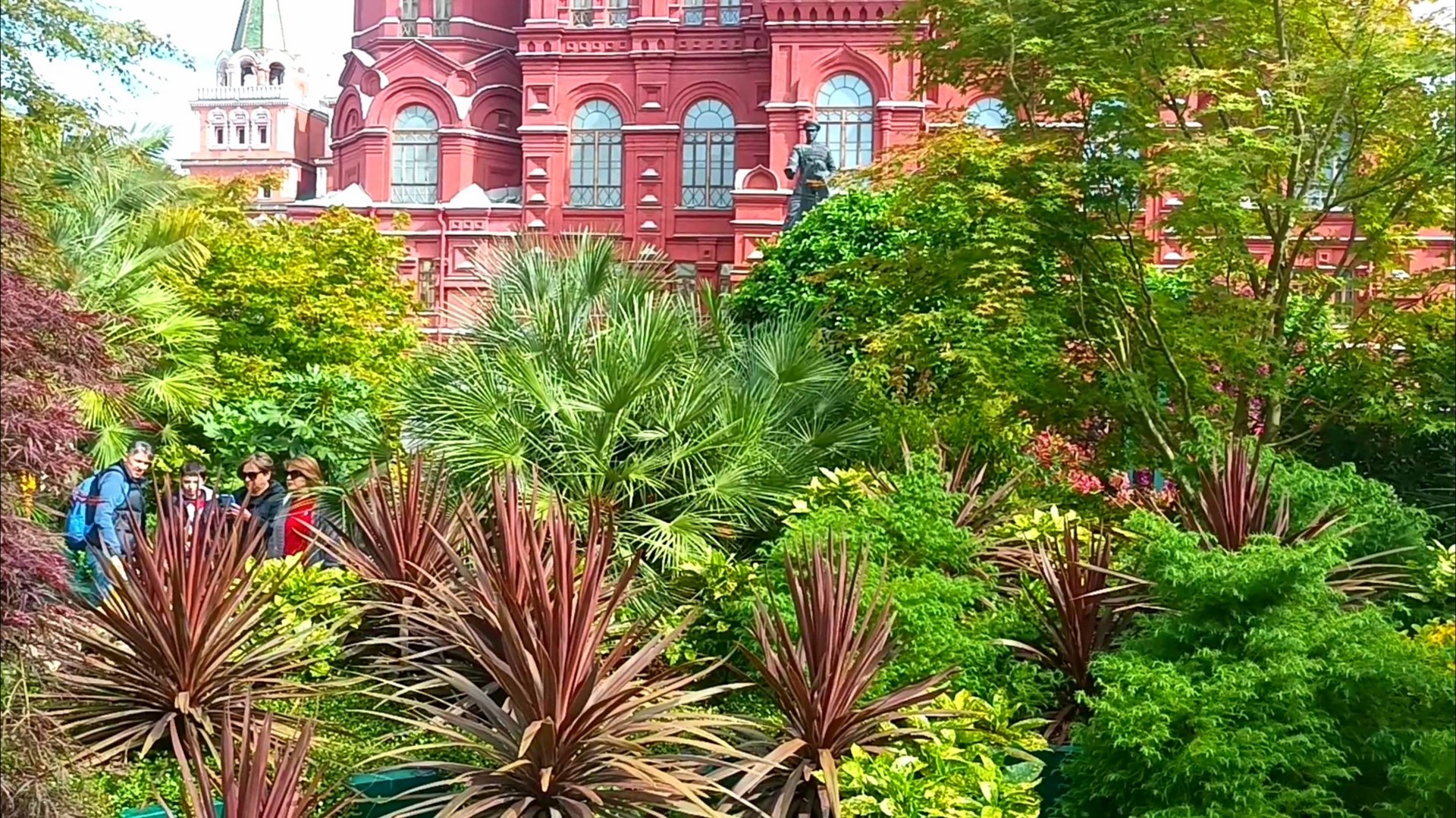 Тропики в самом центре Москвы...