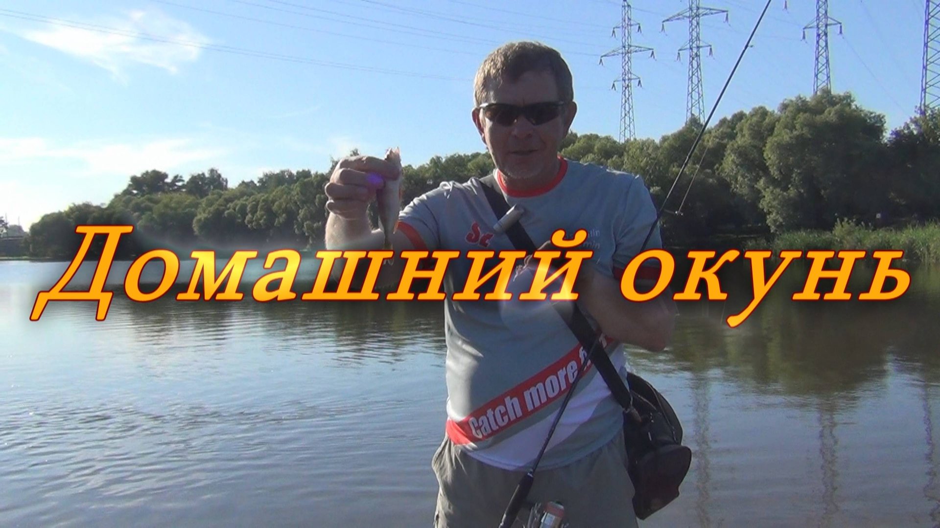 Константин Кузьмин. Домашний окунь, 2014 год