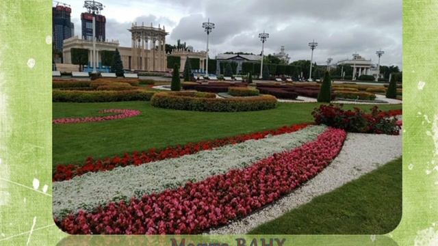 Федина Светлана