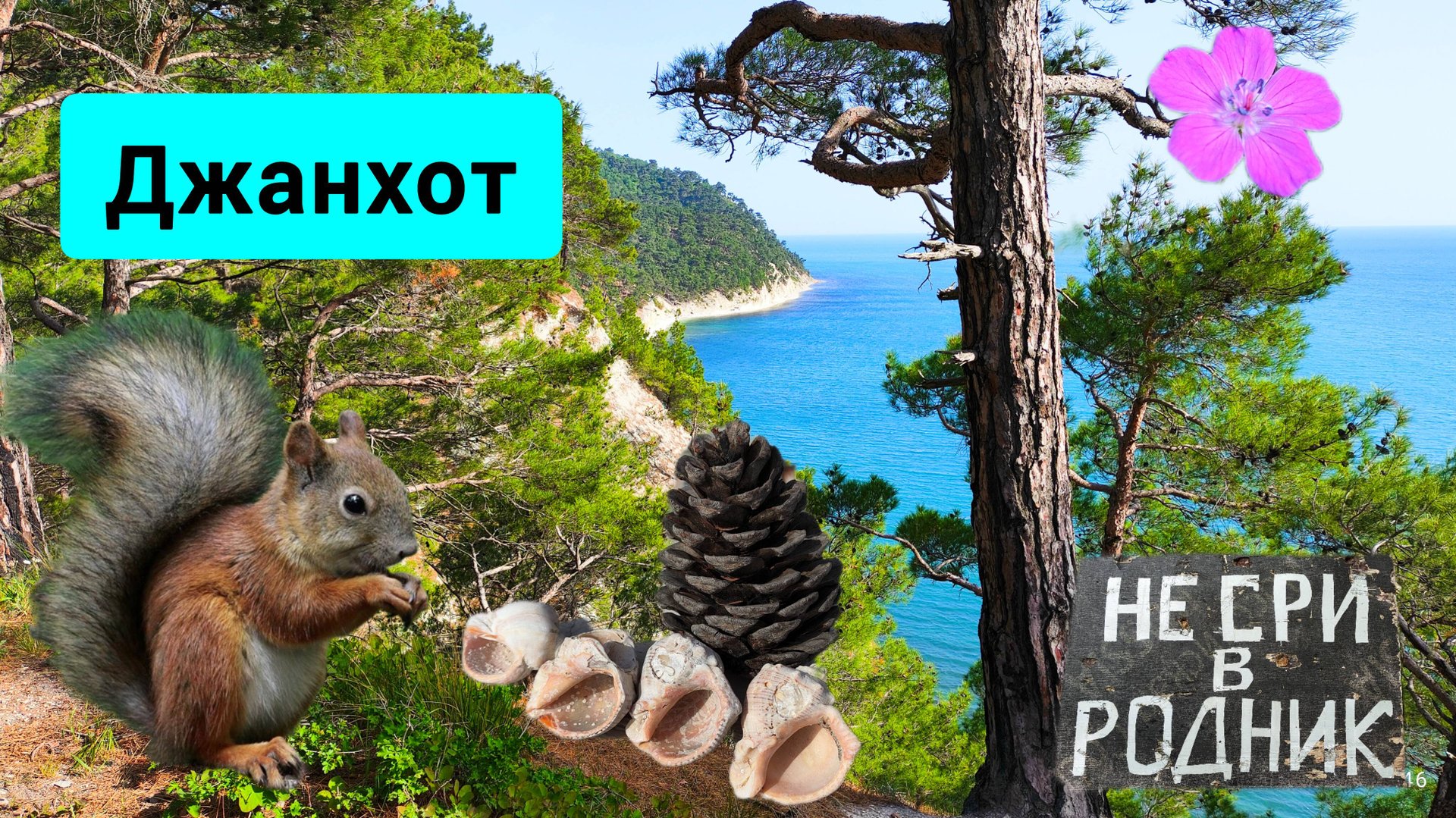 #152 Джанхот 2025. Голубая бездна. Дикий пляж на Юге #sumkiberry #морскаяцаревна #пойдемсомной