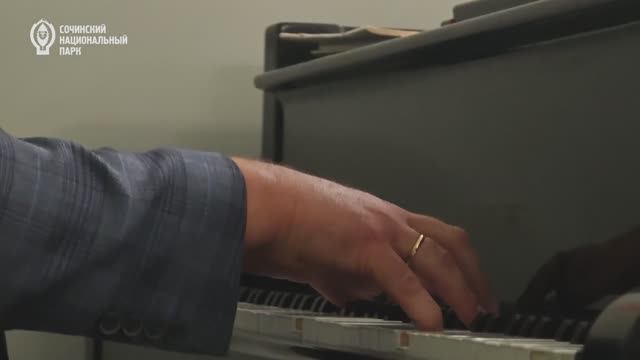 Фортепианный концерт «На изумрудных волнах» композитора Алексея Истратова на Вилле «Надежда».