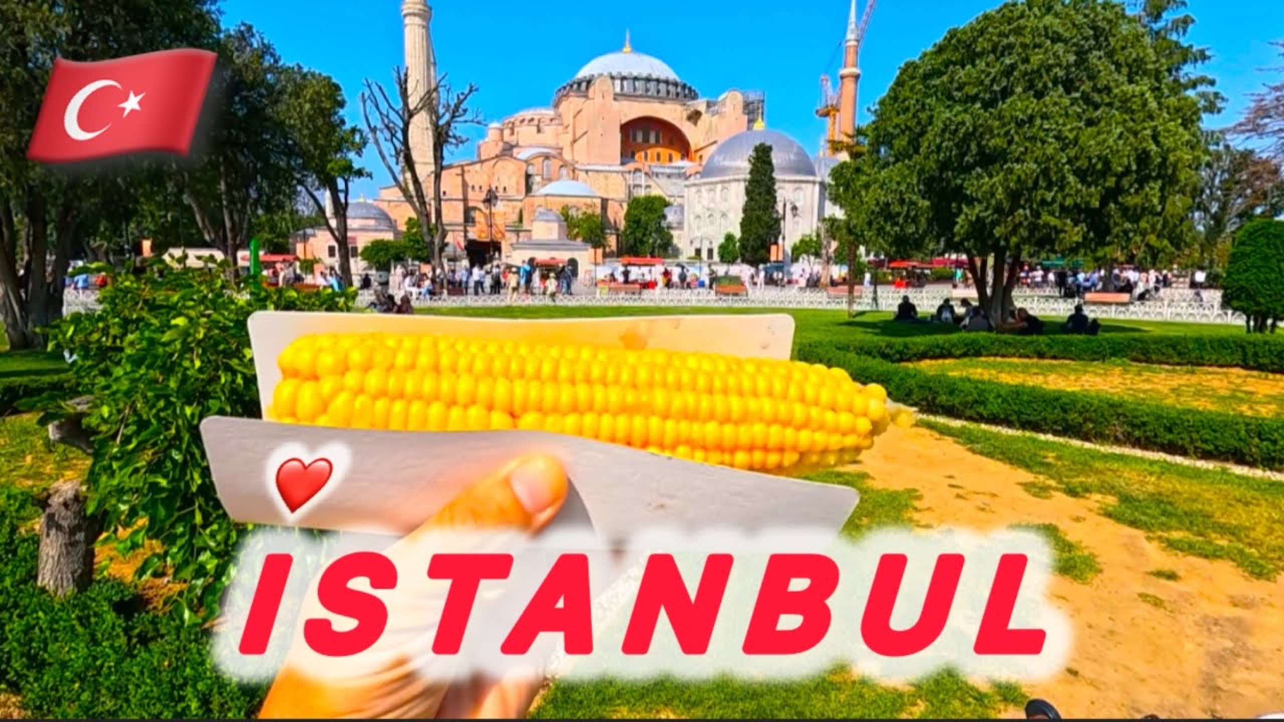 🇹🇷 КУДА МЕНЯ ЗАНЕСЛО ⁉️ HOTEL TULIP HOUSE 3* Istanbul / Стамбул / Площадь Султанахмет / Айа София