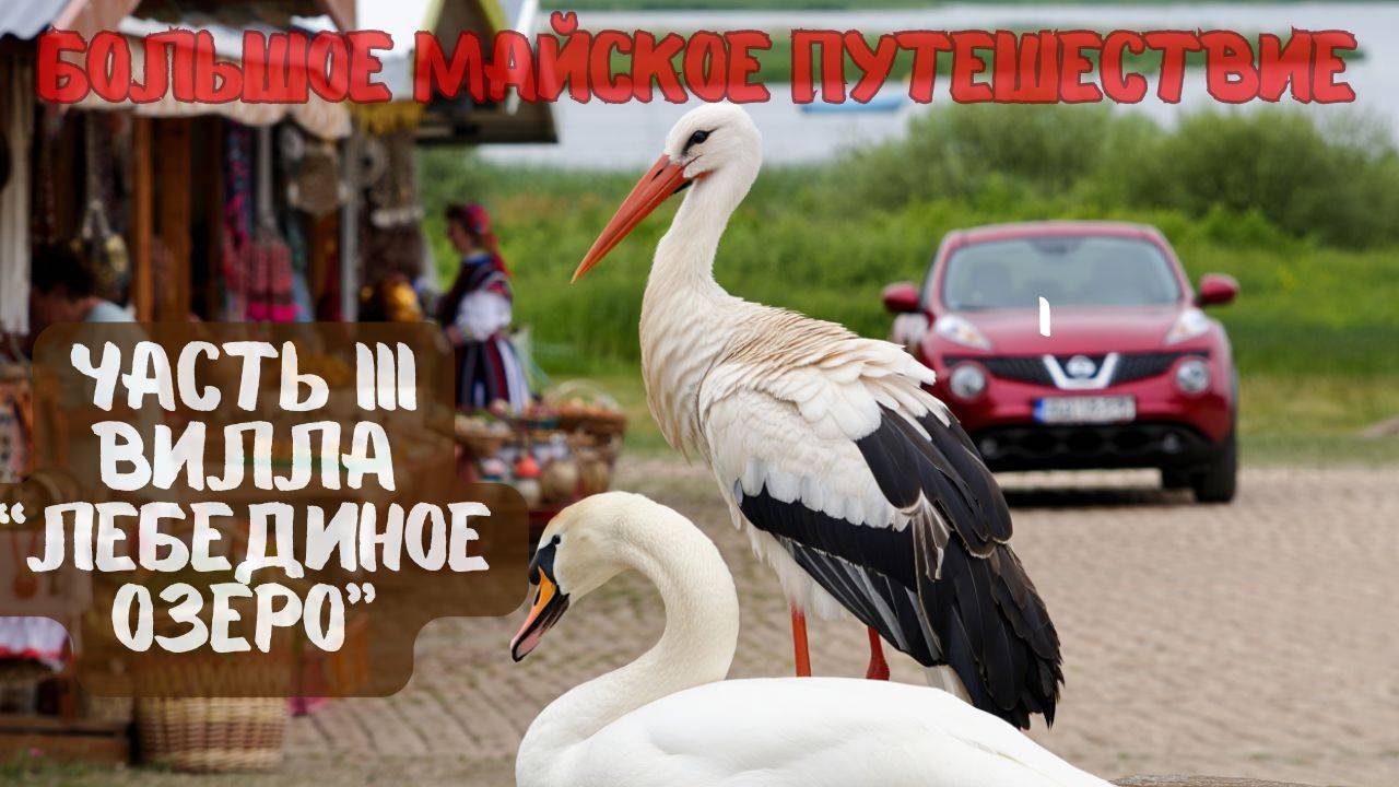 Лебединое озеро: отдых, который стоит дороги