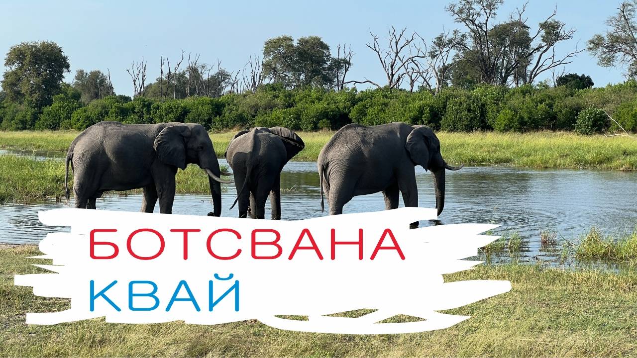 Ботсвана, часть 2, Кваи, Дельта Окаванго. Ночевка в палатках среди животных