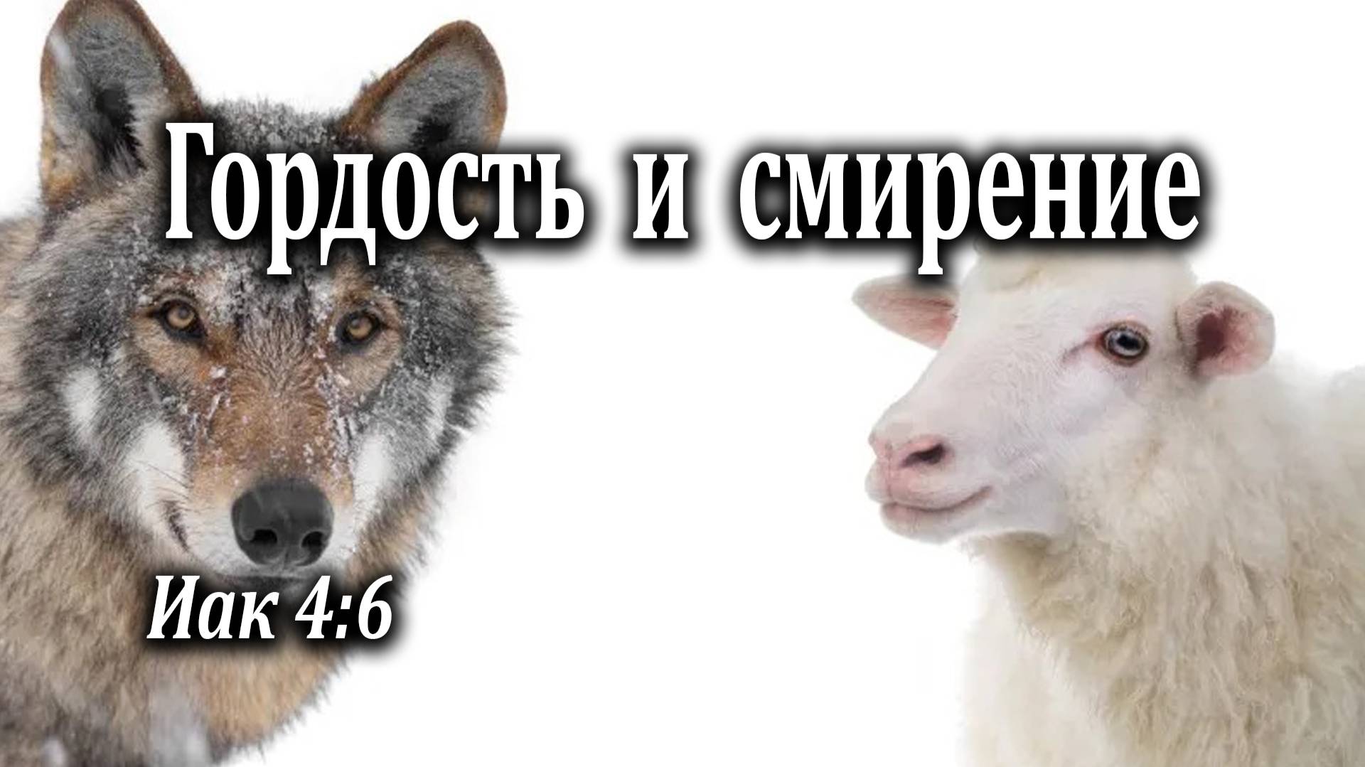 14.11.2021 "Гордость и смирение" Иак 4:6 Николаишин Вадим