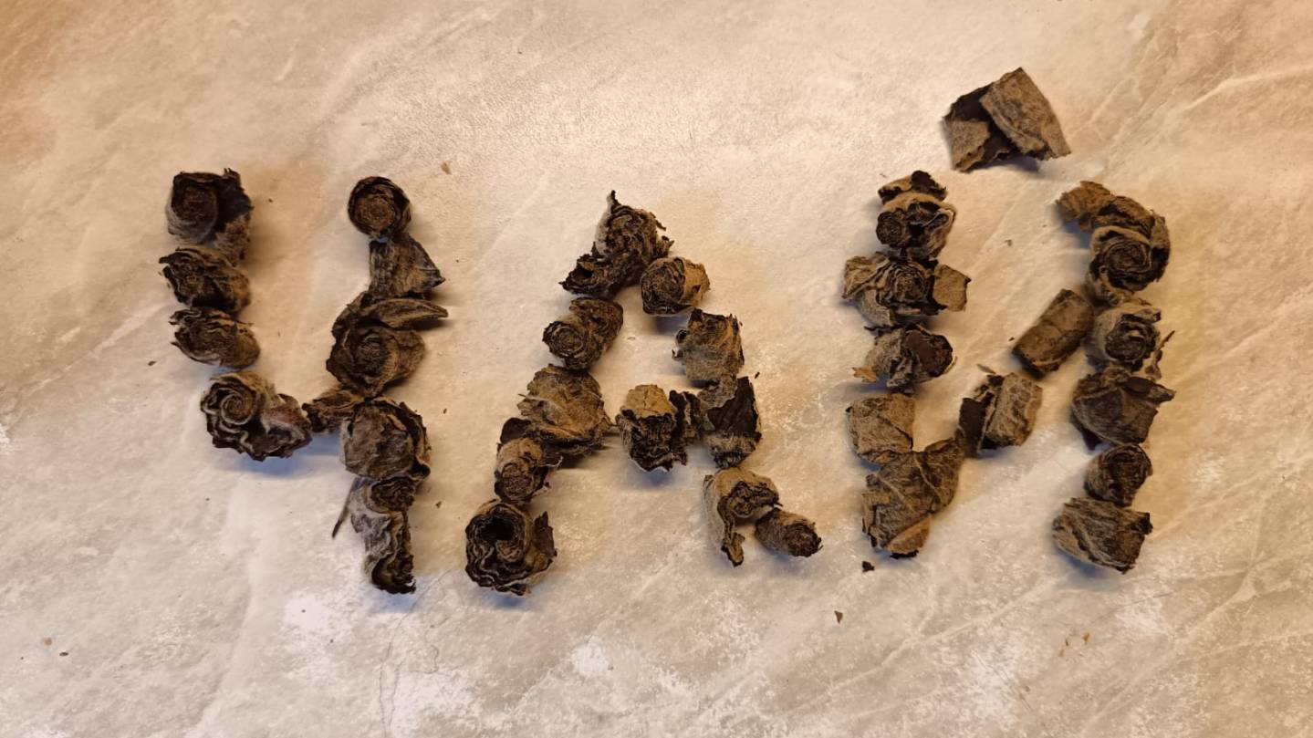 Чай из яблочного листа. Ферментированный. Очень просто и вкусно