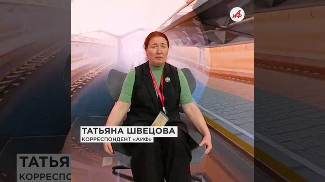 Робот Володя и гигантский кибермедведь. Техника на грани фантастики на ПМЭФ-2025