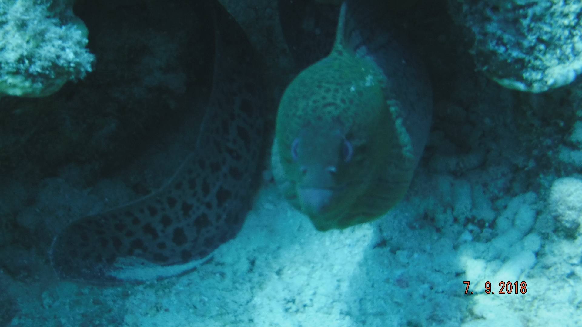 Jaz Mirabel beach шарм-эль-шейх 2018 3 часть