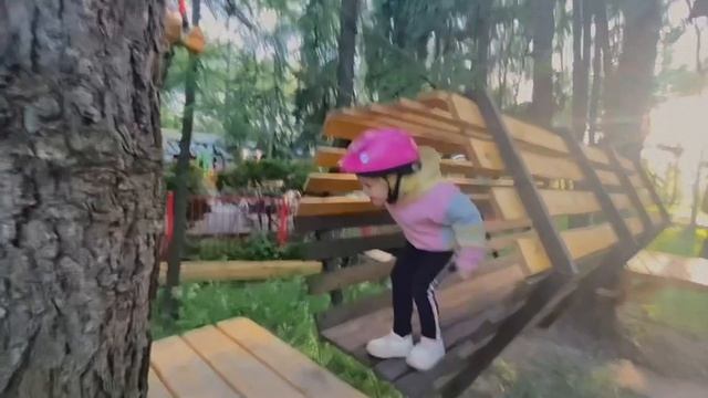 Веселые детские песенки с Family Fox. Baby shark, акуленок, семья акуленка. Веревочный парк.